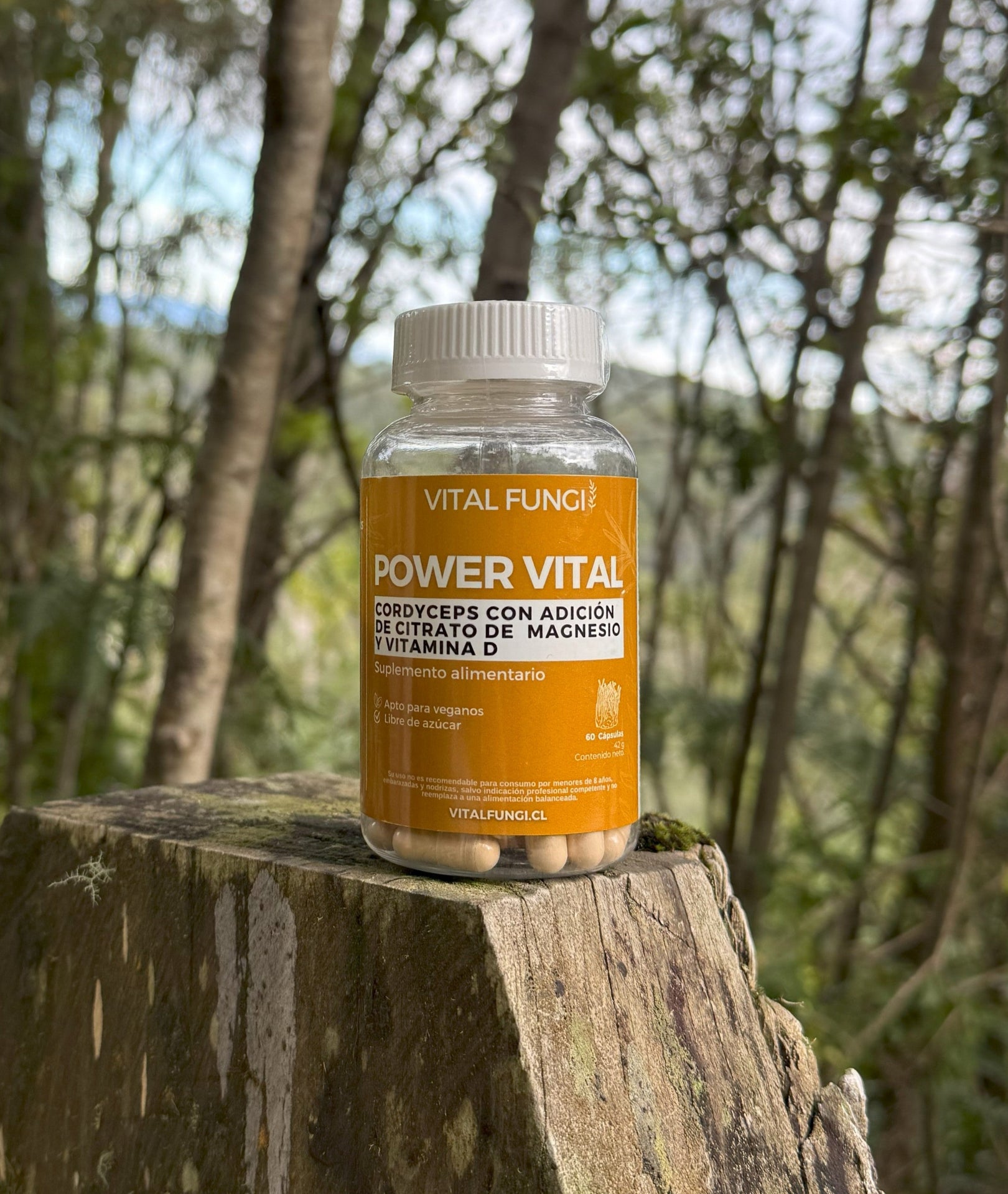 POWER VITAL: Energía, Vitalidad y Equilibrio con Cordyceps y Vitamina D ...